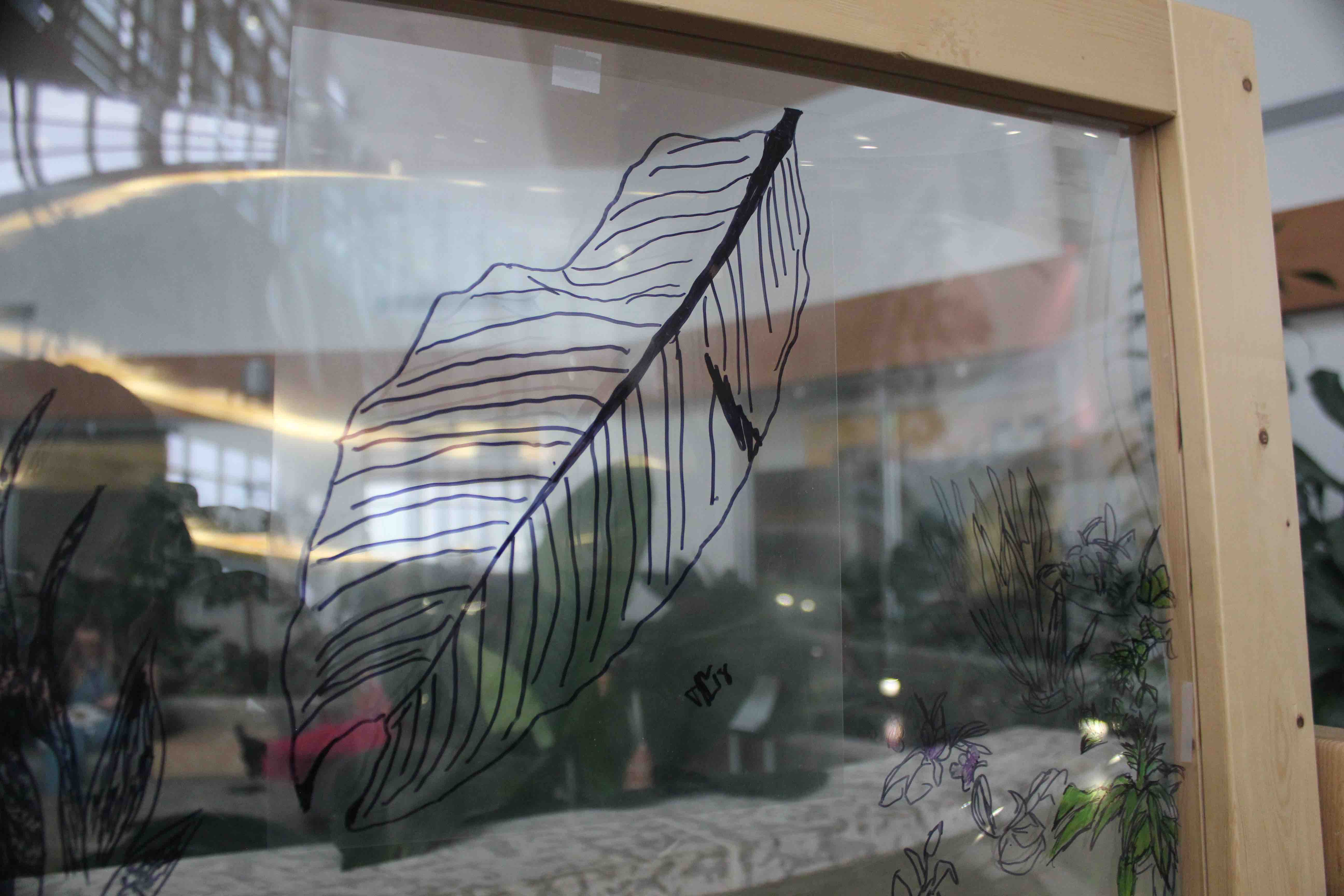 Drawing on Windows | Isabel Porto