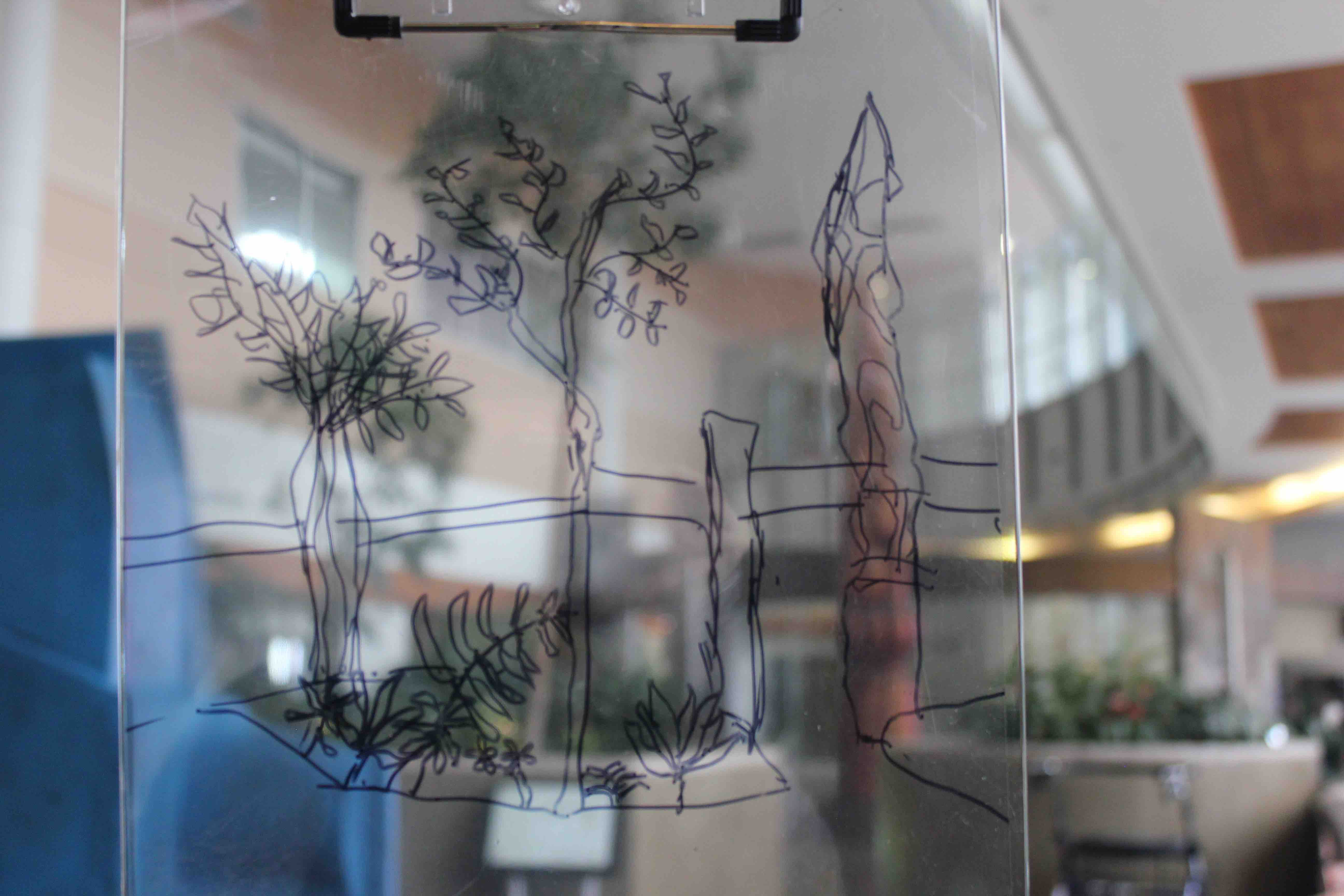 Drawing on Windows | Isabel Porto