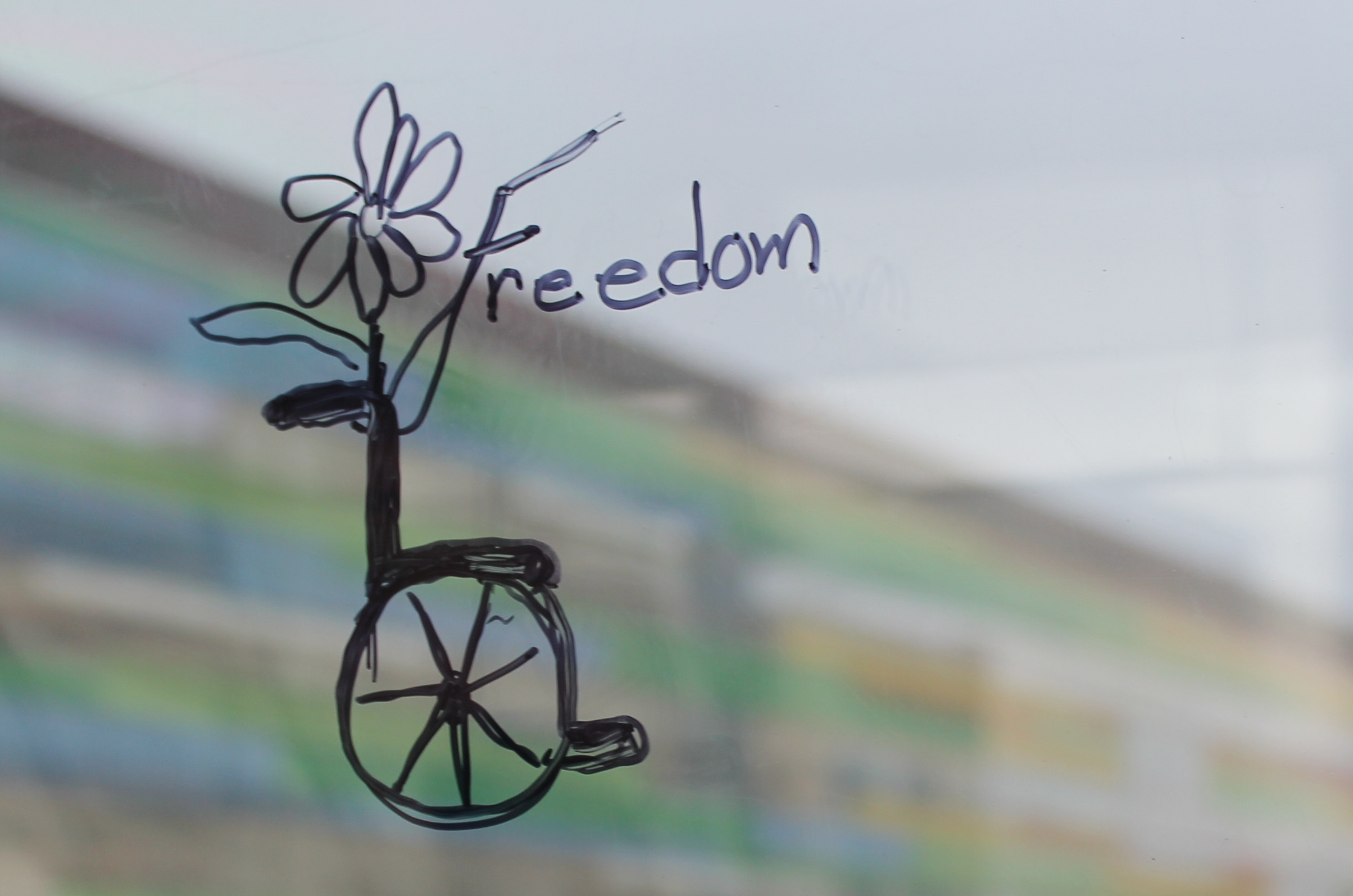 Drawing on Windows | Isabel Porto